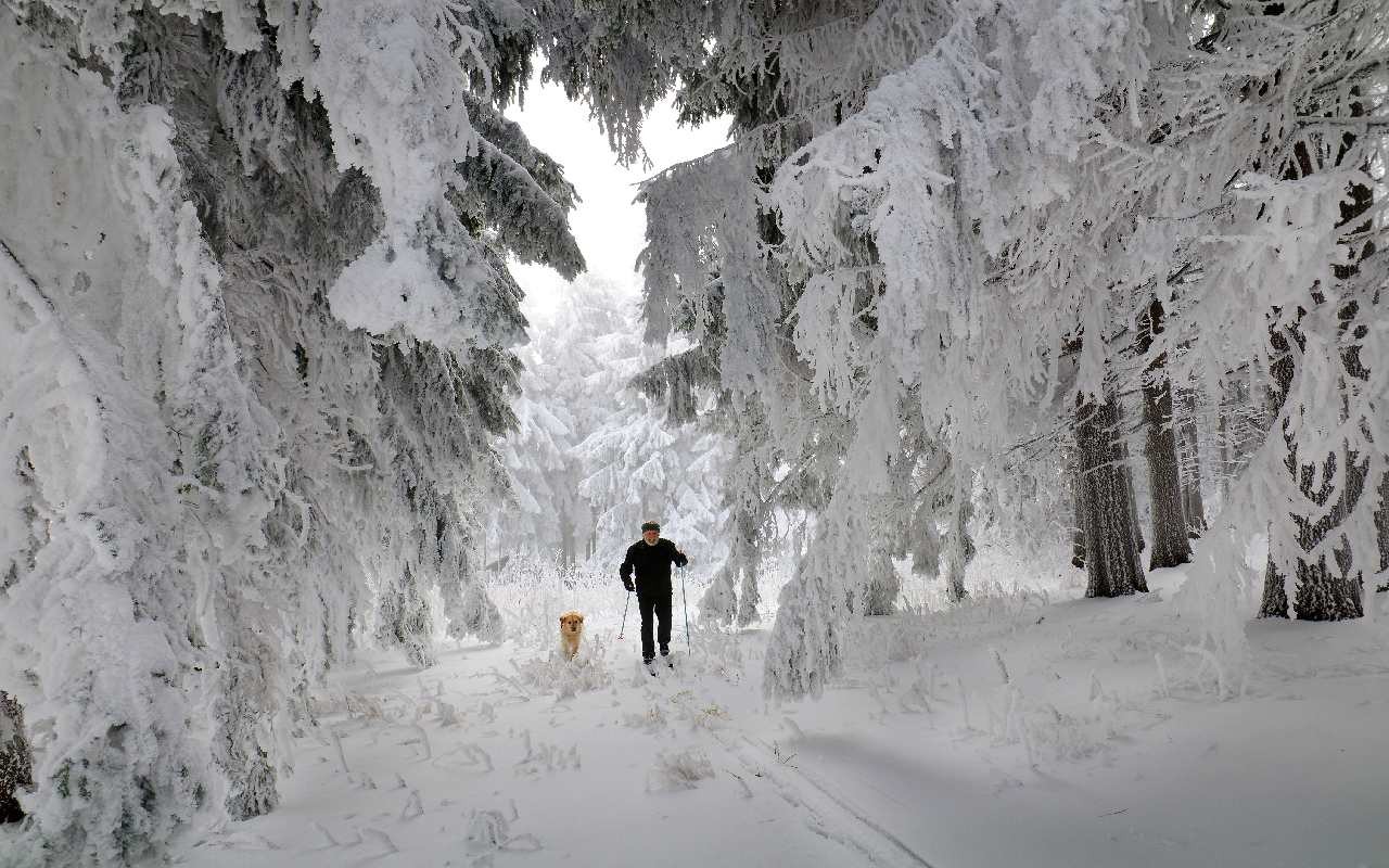 Neuschnee en masse in den Alpen