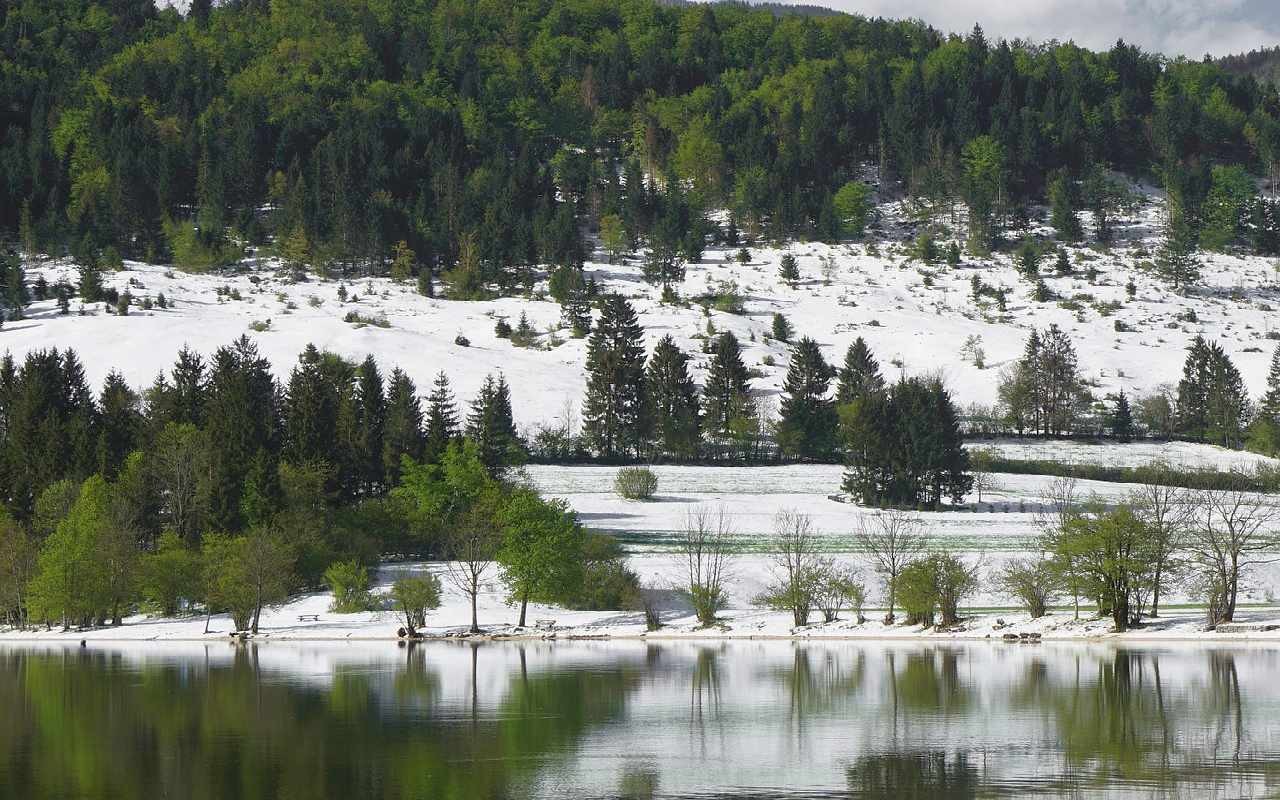 Milder Januar – war‘s das jetzt mit dem Winter?