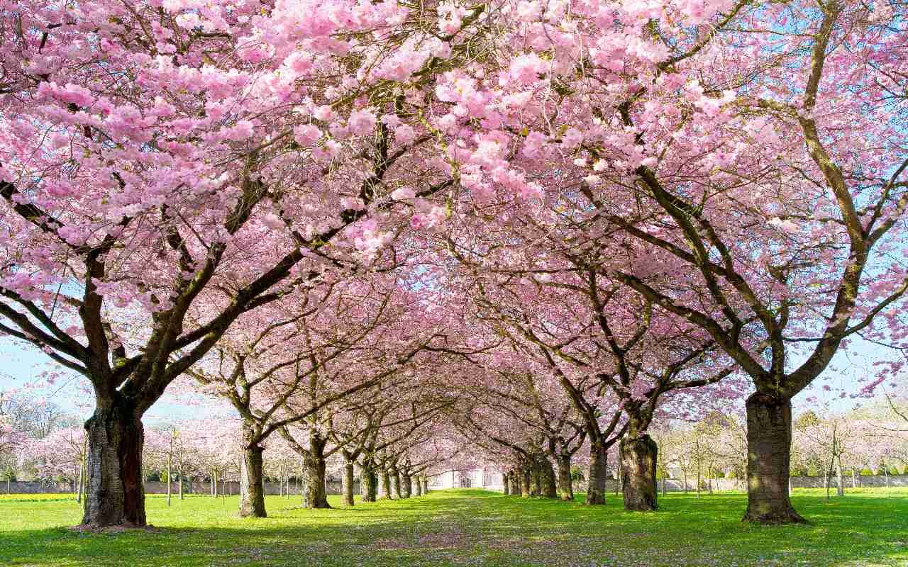 April mit Sonnen- und Wärmeplus