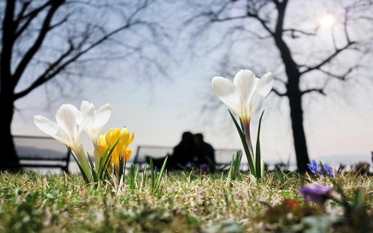 Vorfrühling auf Hochtouren
