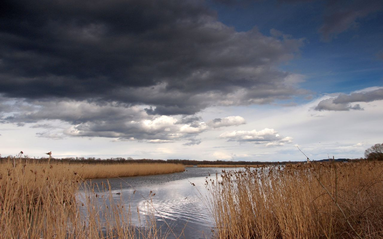Schauer und trockene Abschnitte im Wechsel