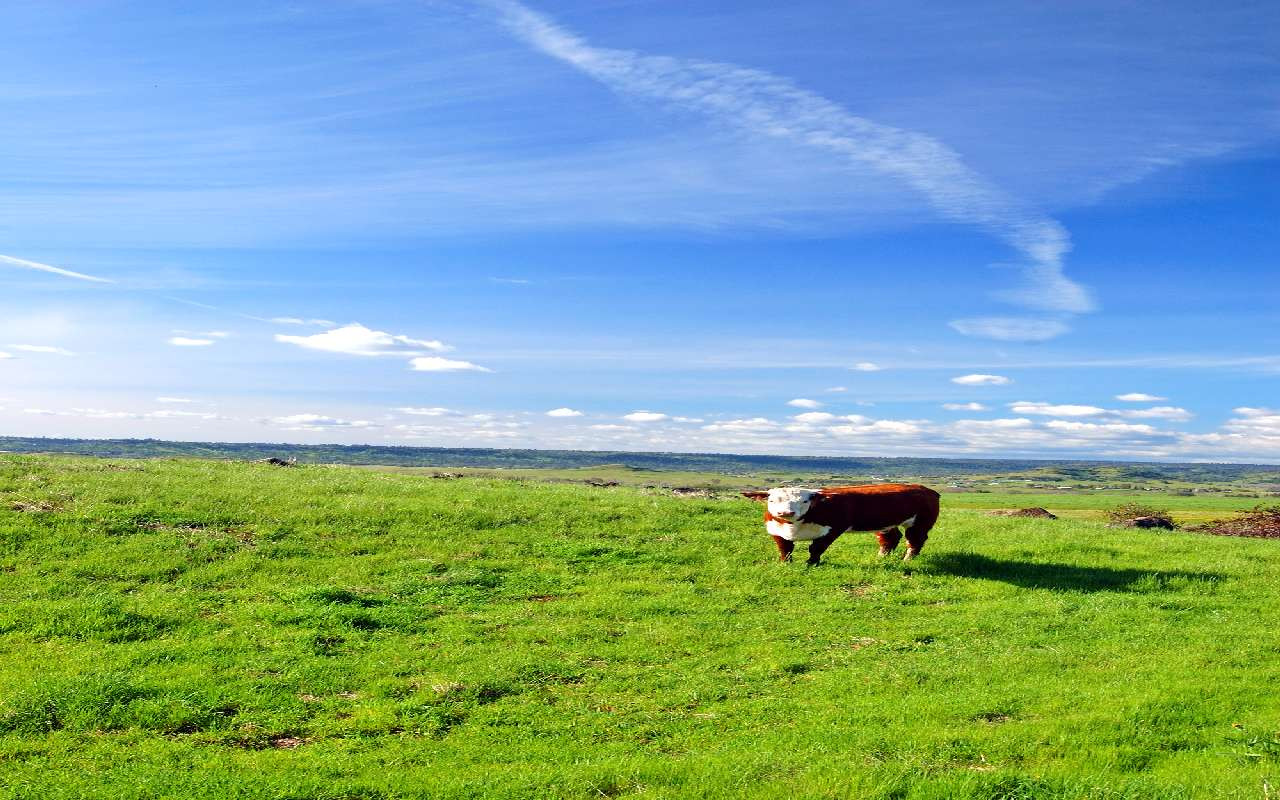 Erneut sonnig und sommerlich warm
