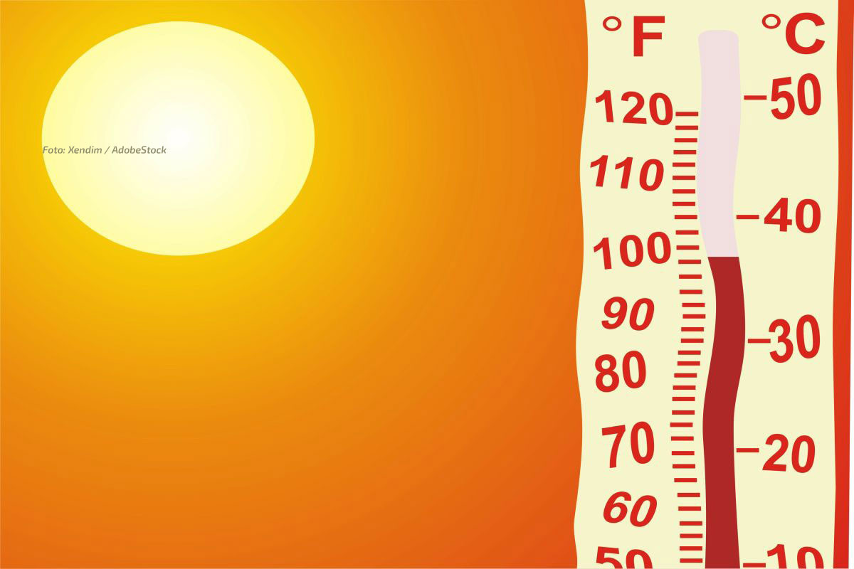 Nächste Woche 40 Grad?