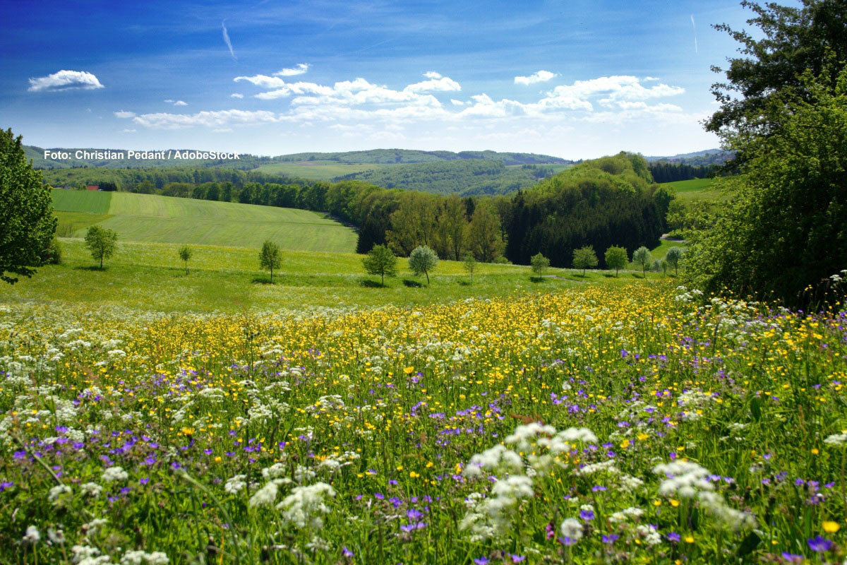 Sommerlich warm