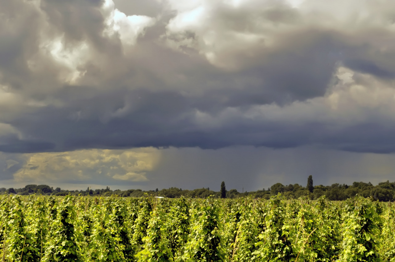 Viele Wolken und etwas Regen