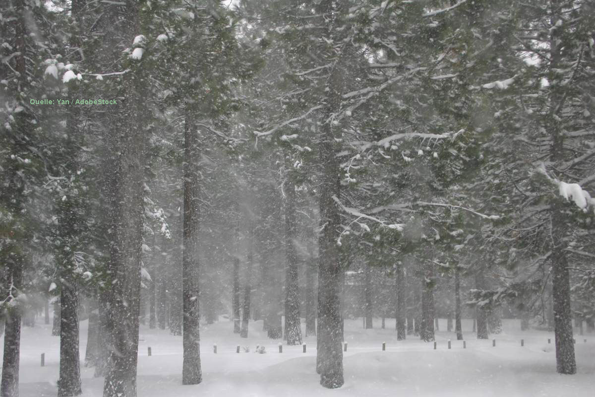 Schnee und kalte Temperaturen