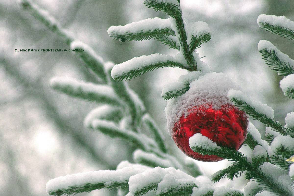 Der Dezember 2023 in Zahlen!