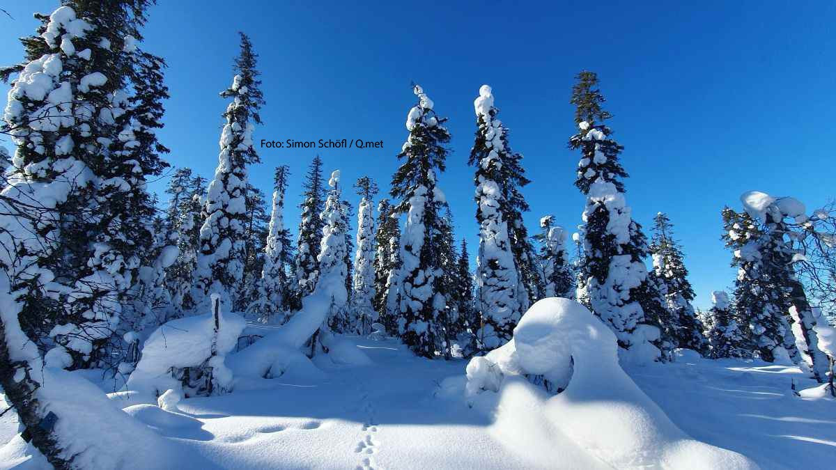 Neue Polarluft flutet Deutschland