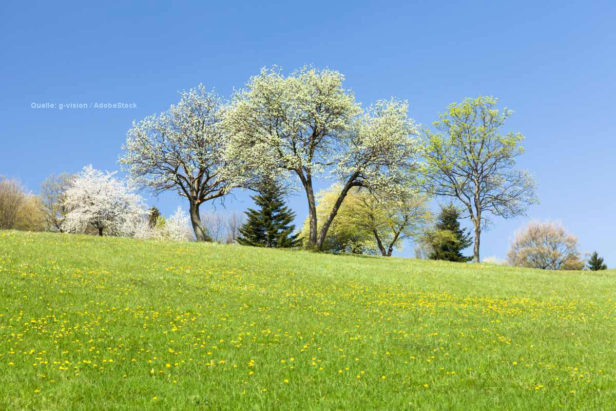 Frühling flirtet mit dem Sommer – aber der Norden spielt nicht mit