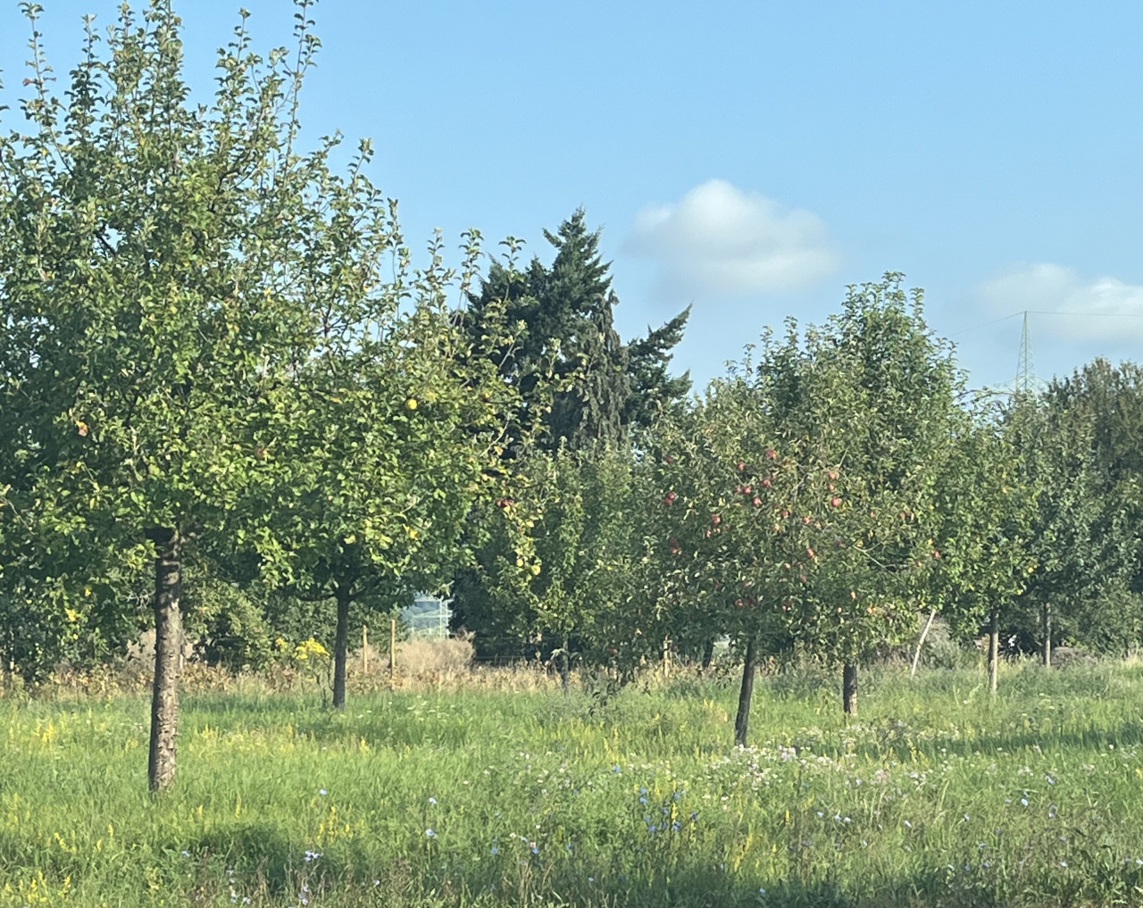 Letztes Sommerhoch vor dem Herbst: Wetteränderung ab Montag