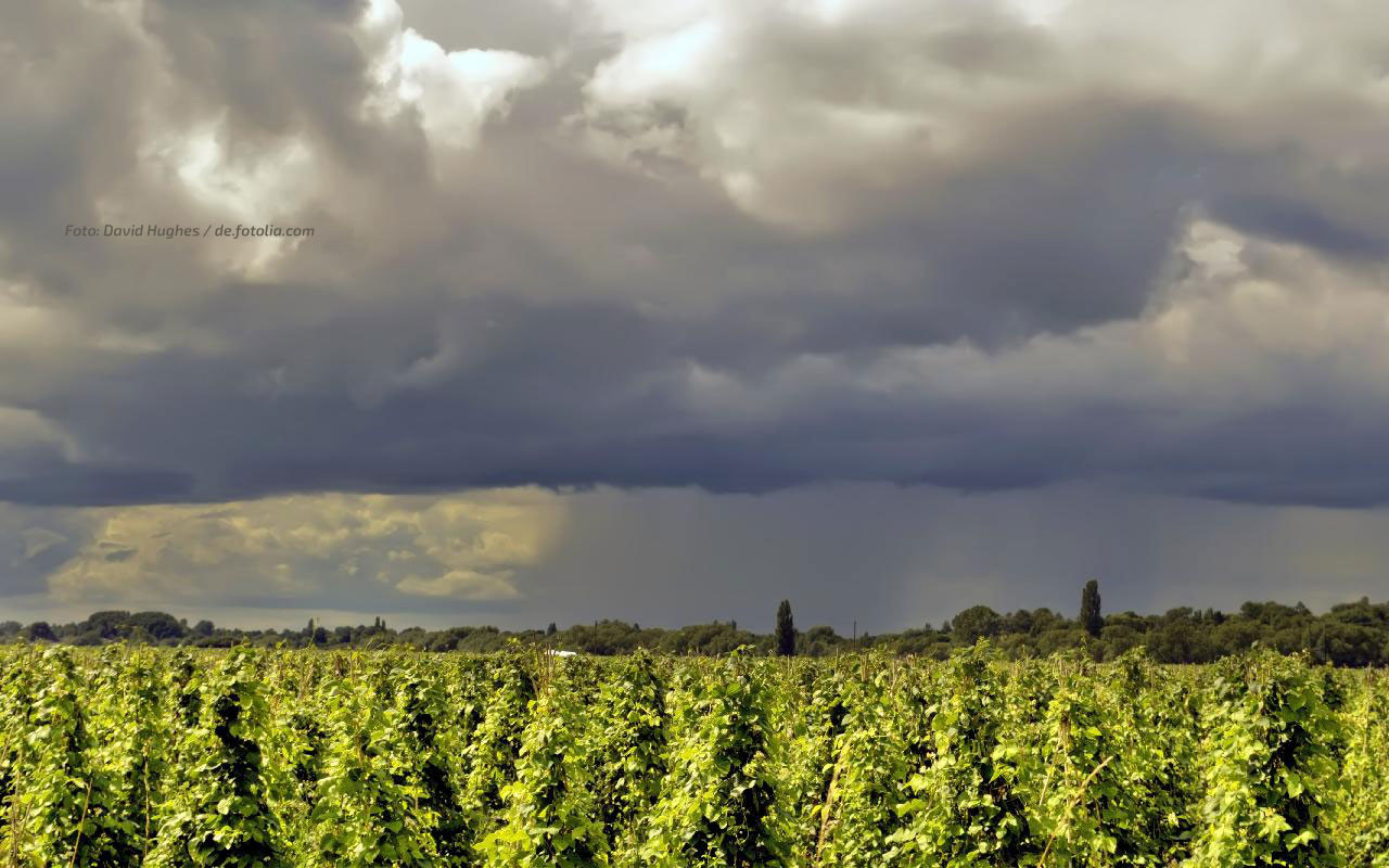 Gewitter-Alarm! Der Sonntag bringt Zoff am Himmel, aber auch nochmal 28 ...