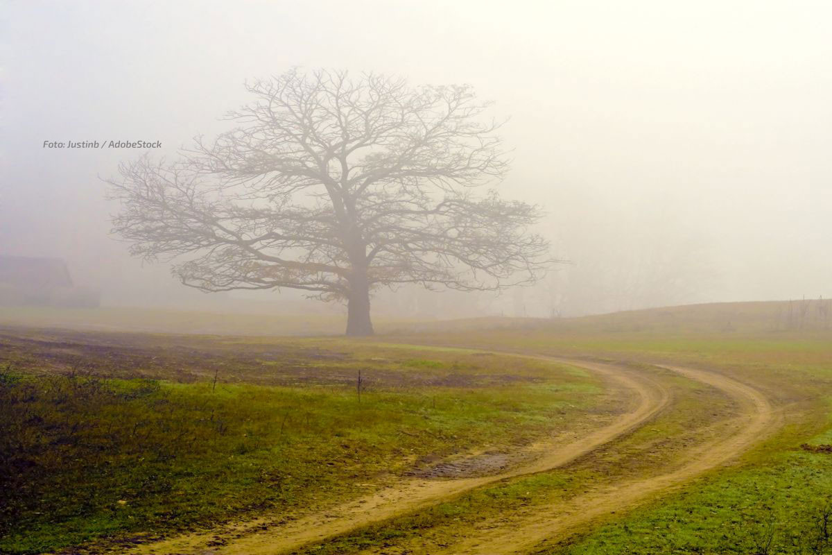 Nebel, Wind und ein Hauch von Wetterumschwung