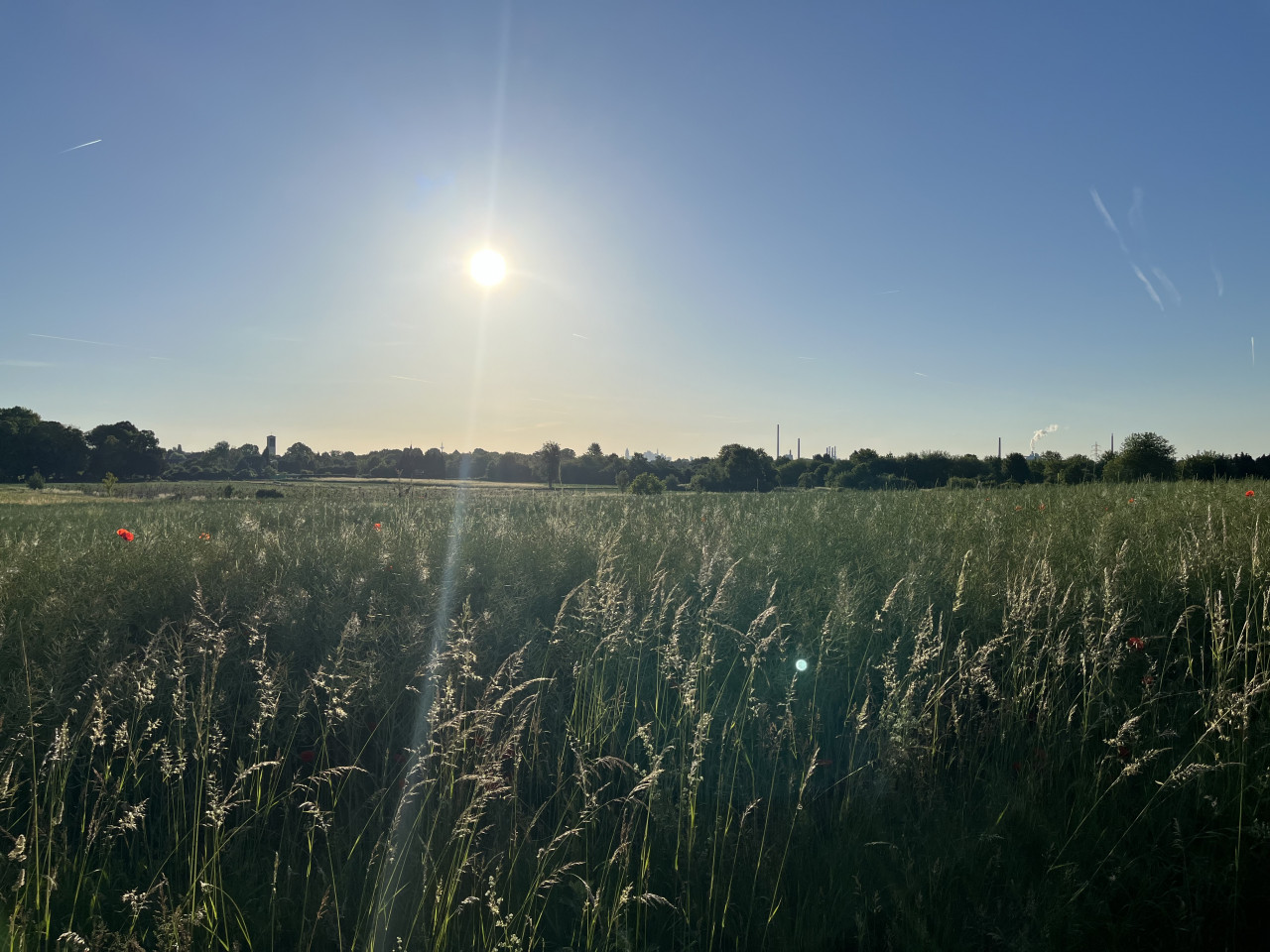 Wetterumschwung zur Wochenmitte: Norden kühlt ab, Süden bleibt ...