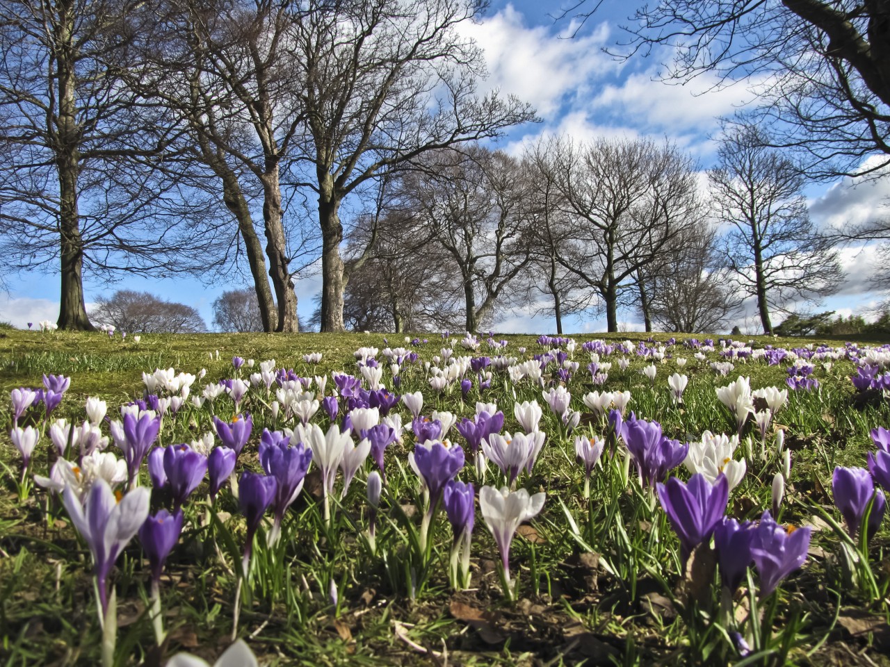Wo steckt der Frühling?